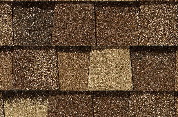 Seattle Composite Shingle Roofing Installation Company | Three Tree