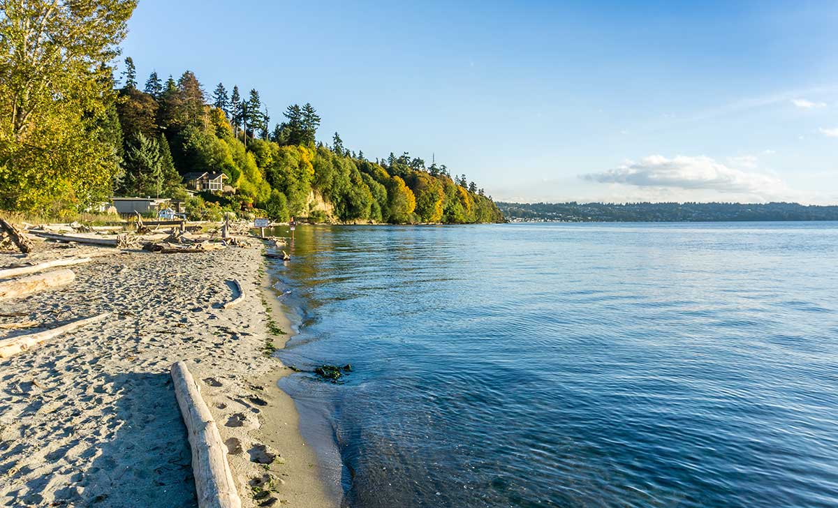 Burien Roofers | Three Tree Roofing - Best Roofing in Burien